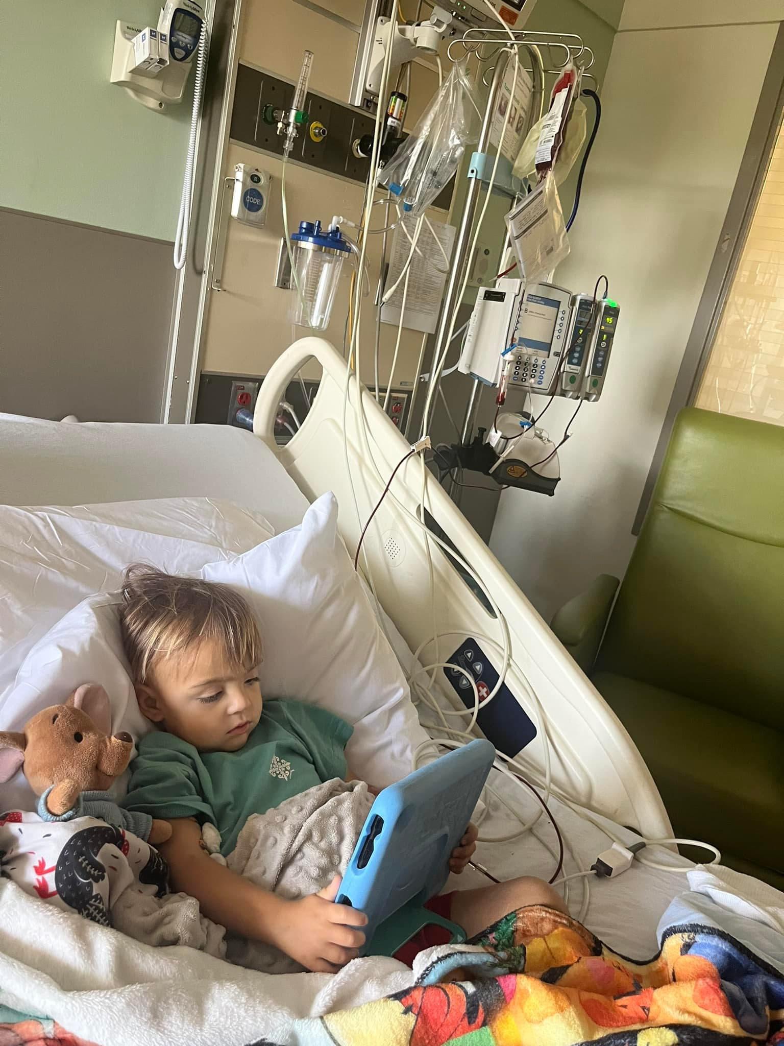 Update!! - COTA for Echo's Journey