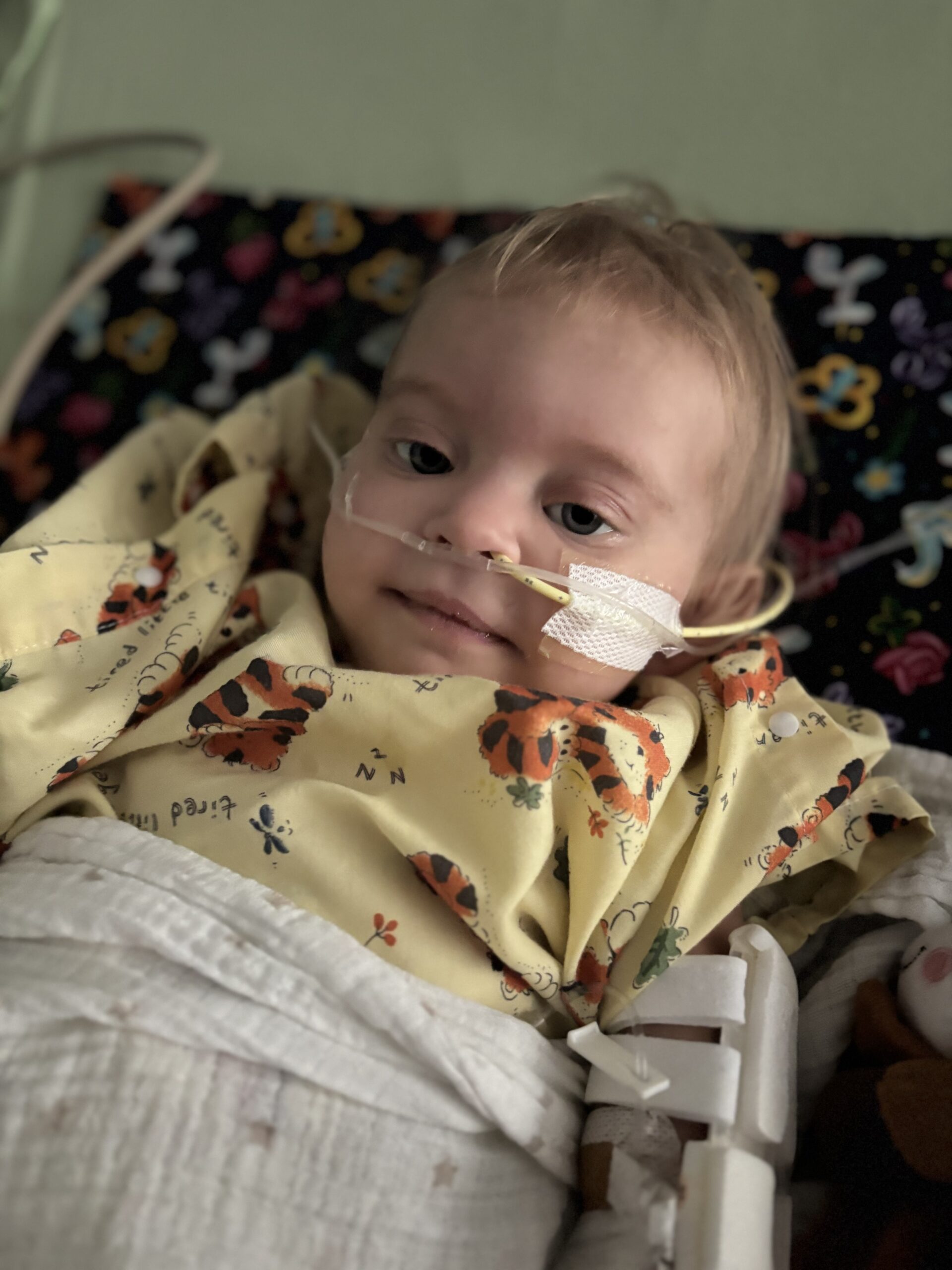 Nora’s News - COTA for Nora's Liver