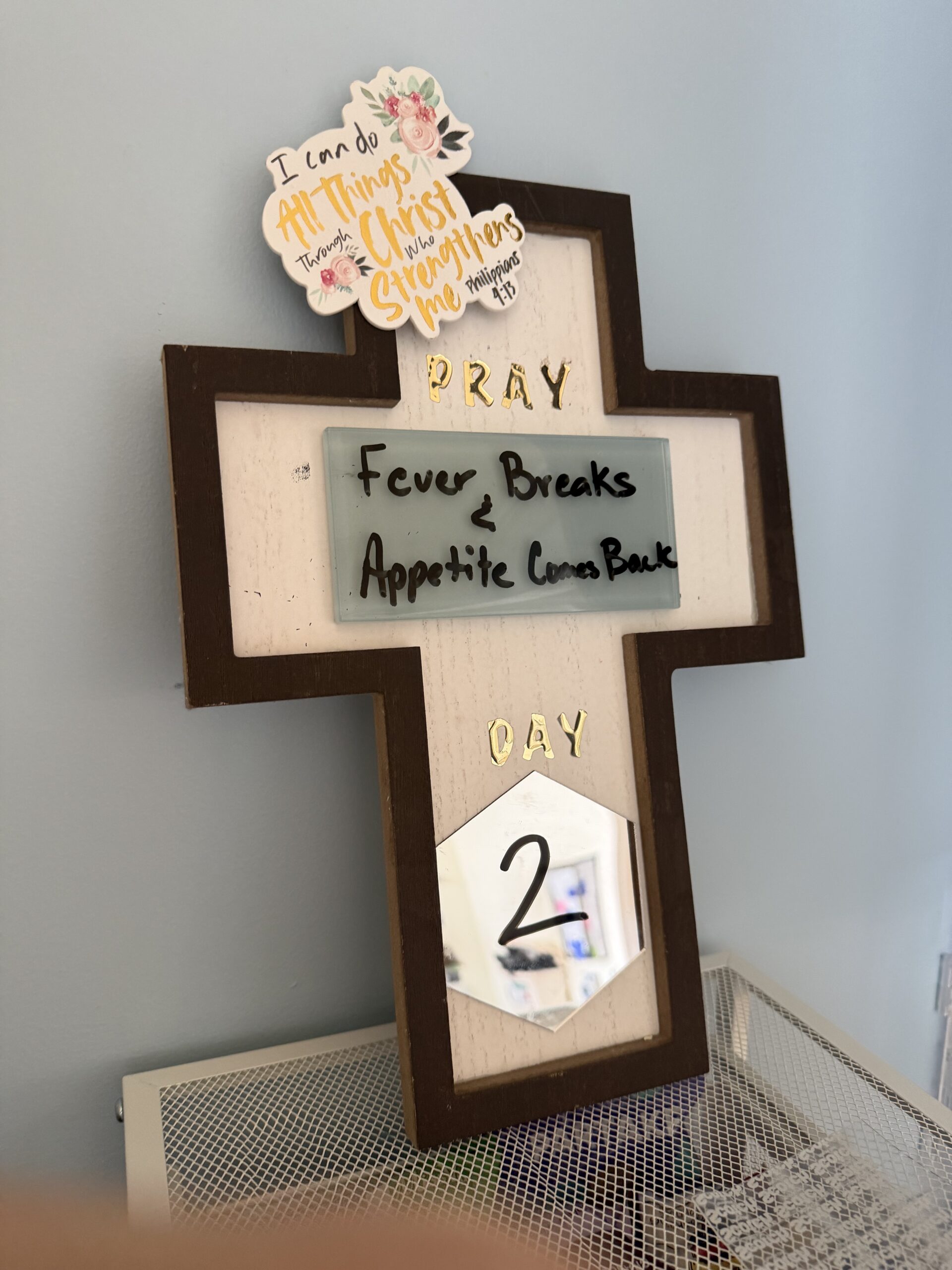 Chemo Day 2 & 3 - COTA for Rae