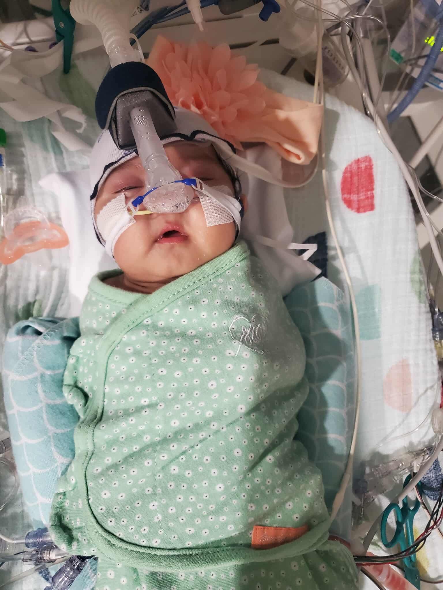 Last Week Update/ Actualizacion de la Semana Pasada - COTA for Sarah's Hope