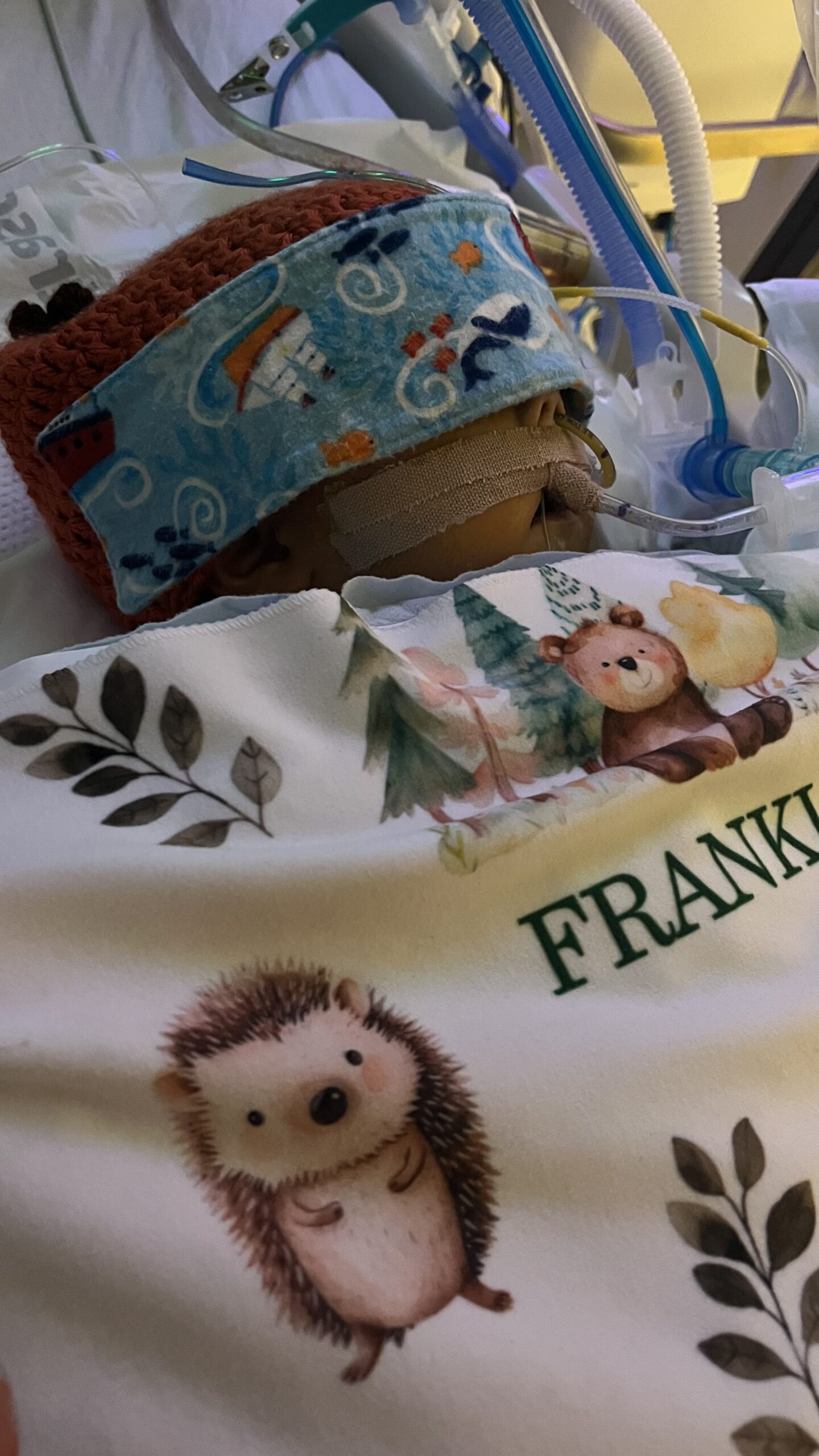 11/21 Update - COTA for Team Frankie